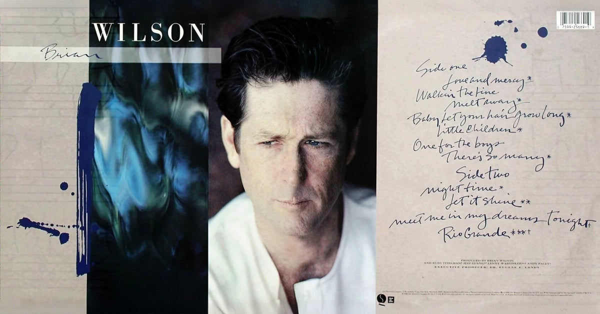 Brian Wilson『Brian Wilson』(1988) ━ 30,000字超レビュー公開 ━ – Books Channel Store